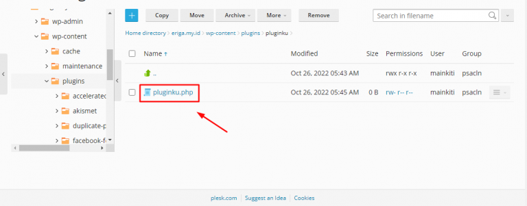 Panduan Cara Membuat Plugin Wordpress Sendiri