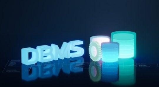Apa Itu DBMS? Pengertian, Fungsi, Jenis dan Contohnya