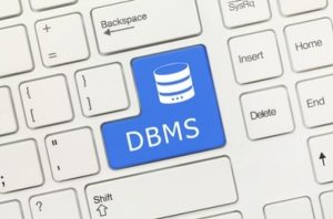 Apa Itu DBMS? Pengertian, Fungsi, Jenis dan Contohnya