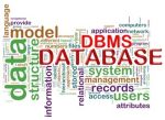 Apa Itu DBMS? Pengertian, Fungsi, Jenis dan Contohnya