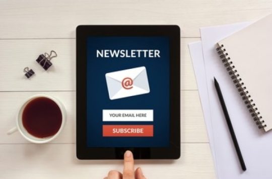 5 Contoh Newsletter Email Marketing Yang Bisa Menginspirasi Kamu