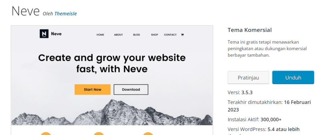 10 Template WordPress Ecommerce Terbaik dan Gratis