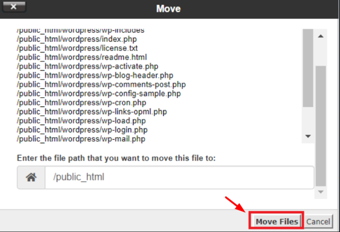 Panduan Cara Install WordPress di cPanel Dengan Mudah Untuk Pemula