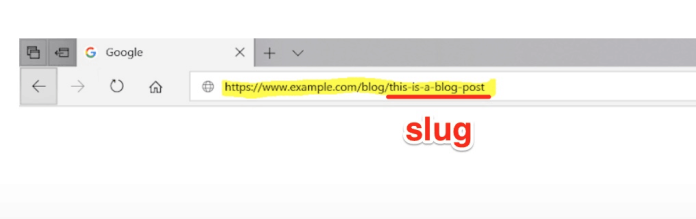 Apa Itu Slug? Pengertian, Fungsi dan Cara Membuatnya