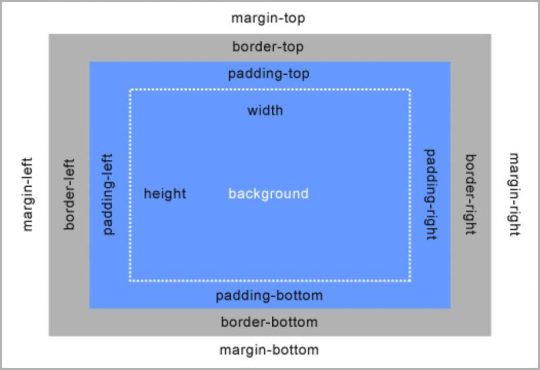 Apa Itu Padding? Panduan Komprehensif untuk Pemahaman yang Mendalam