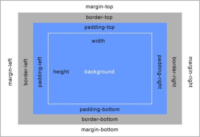 Perbedaan Margin dan Padding: Panduan Lengkap untuk Desainer Web