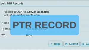 Apa Itu PTR Record? Panduan Lengkap untuk Pemula
