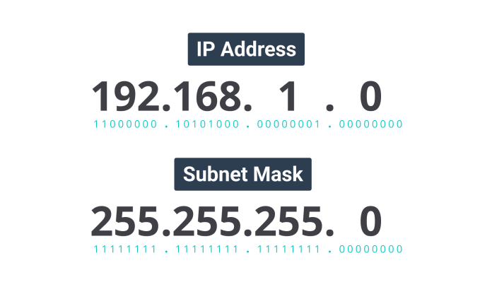 Apa Itu Subnet Mask? Panduan Lengkap untuk Pemula
