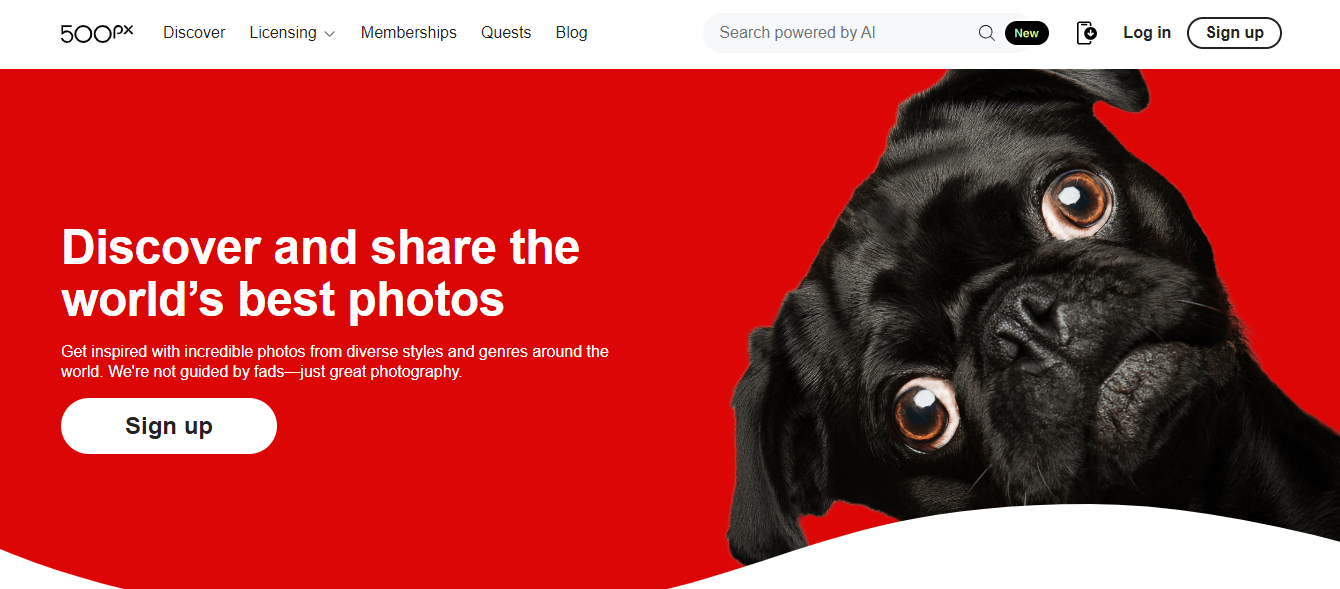 10 Image Hosting Gratis yang Bikin Irit Disk Space!